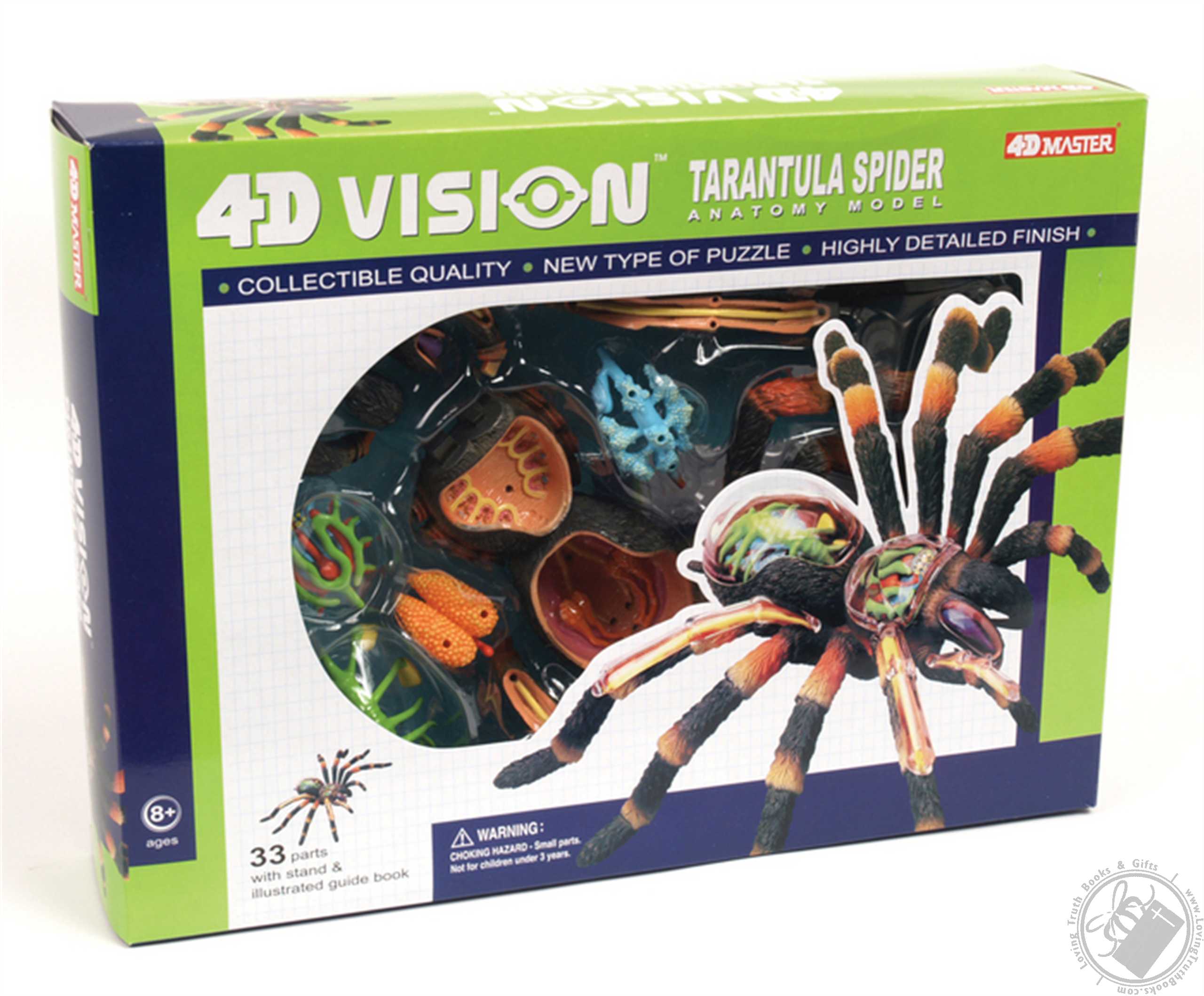 4D Vision Tarantula Spider Anatomy Model (33 Pieces for Ages 8 and Up ...