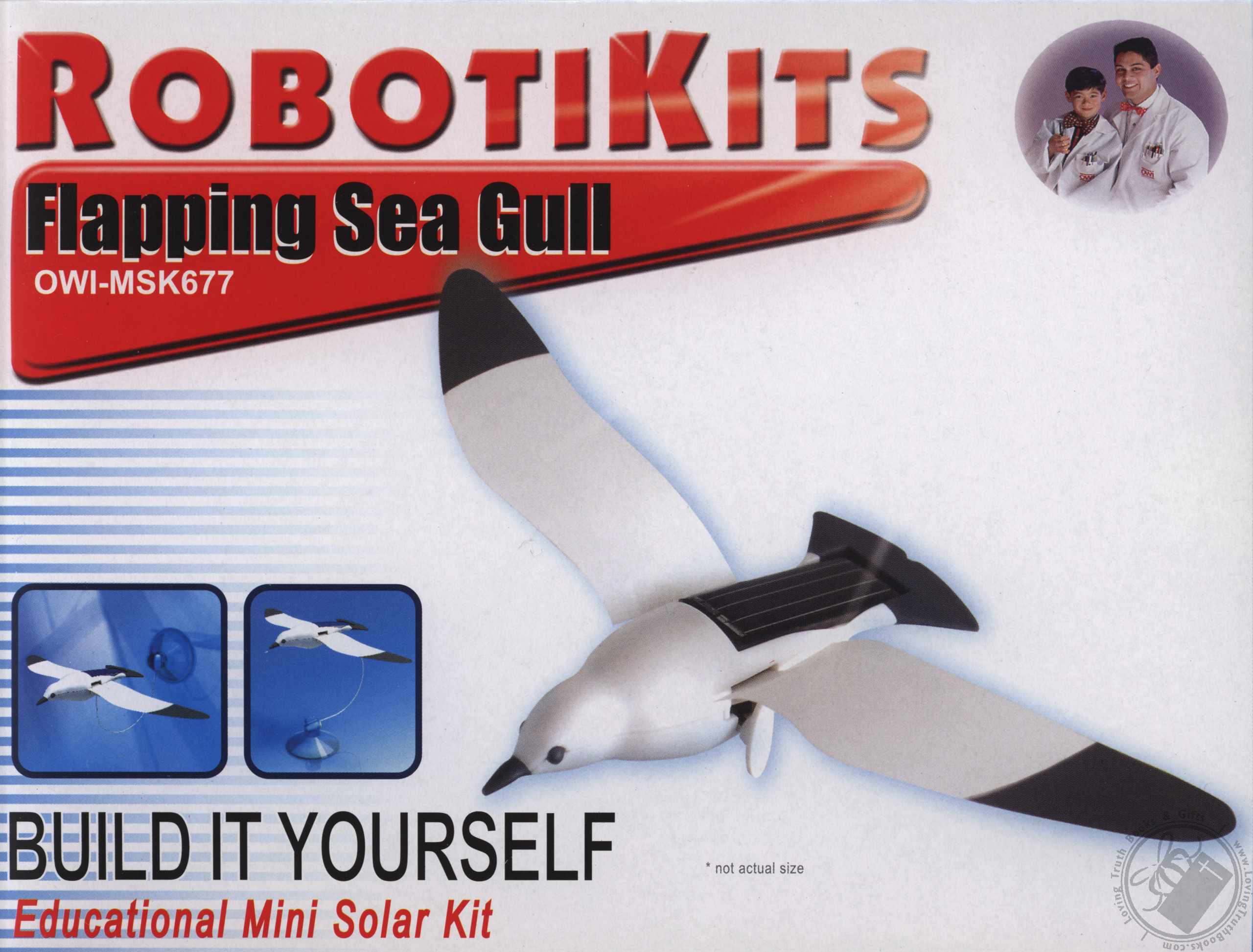 Robotikits Flapping Sea Gull by OWI (Experiment / Robotic) (Loving ...