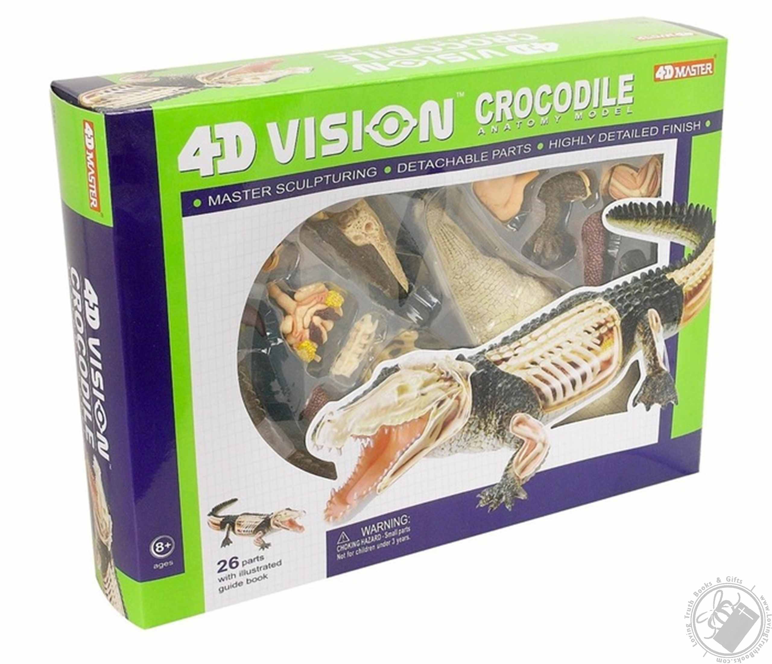 4D Vision Crocodile Anatomy Model (26 Pieces for Ages 8 and Up ...