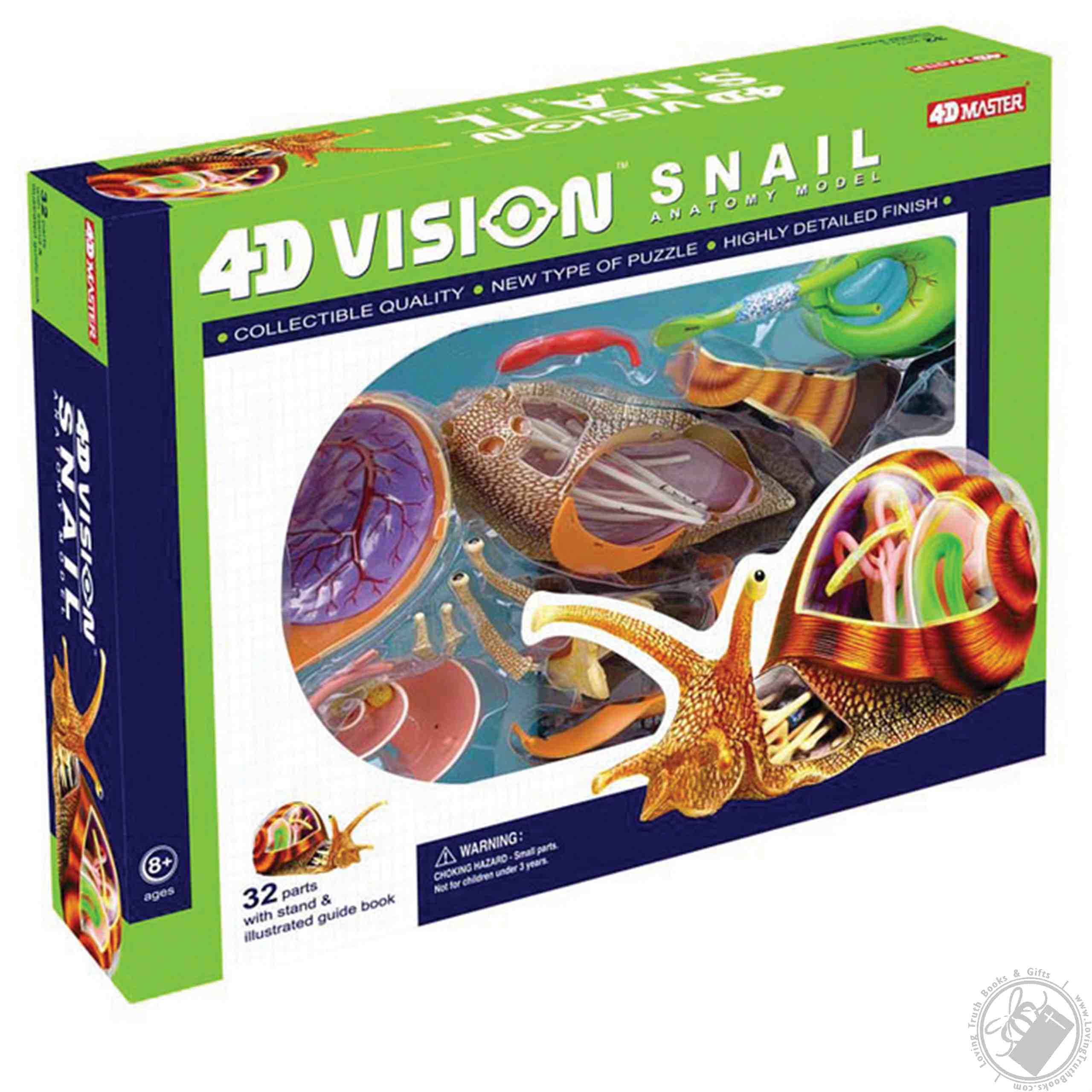4D Vision Snail Anatomy Model (32 Pieces for Ages 8 and Up) (Biology ...