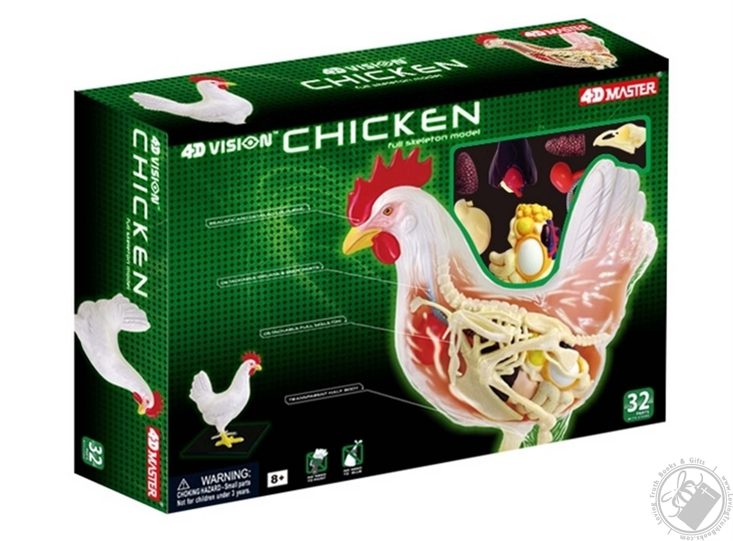 4D Vision Chicken Anatomy Model (32 Pieces for Ages 8 and Up) (Biology ...