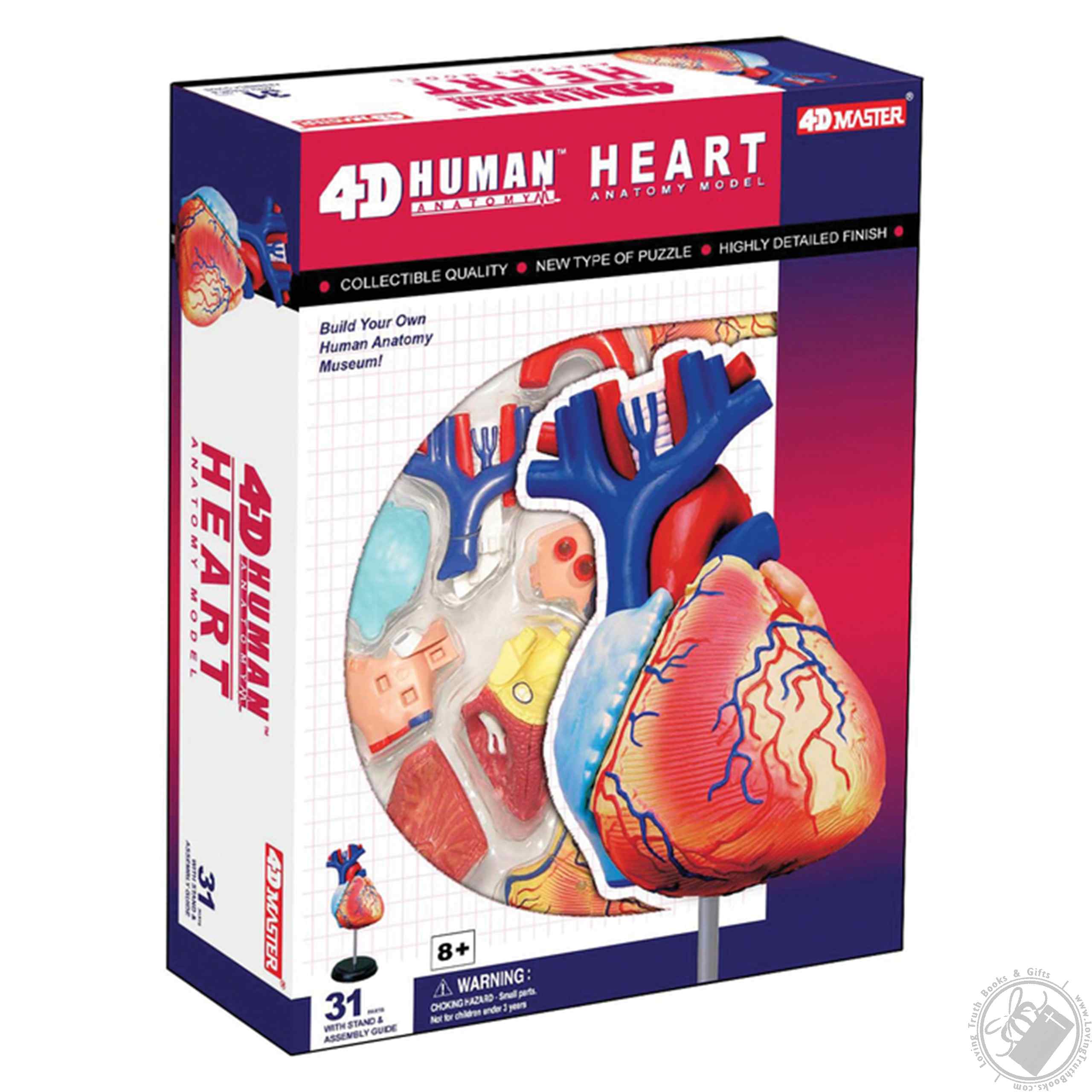 4D Human Anatomy Heart Model (31 Pieces for Ages 8 and Up) (Biology ...