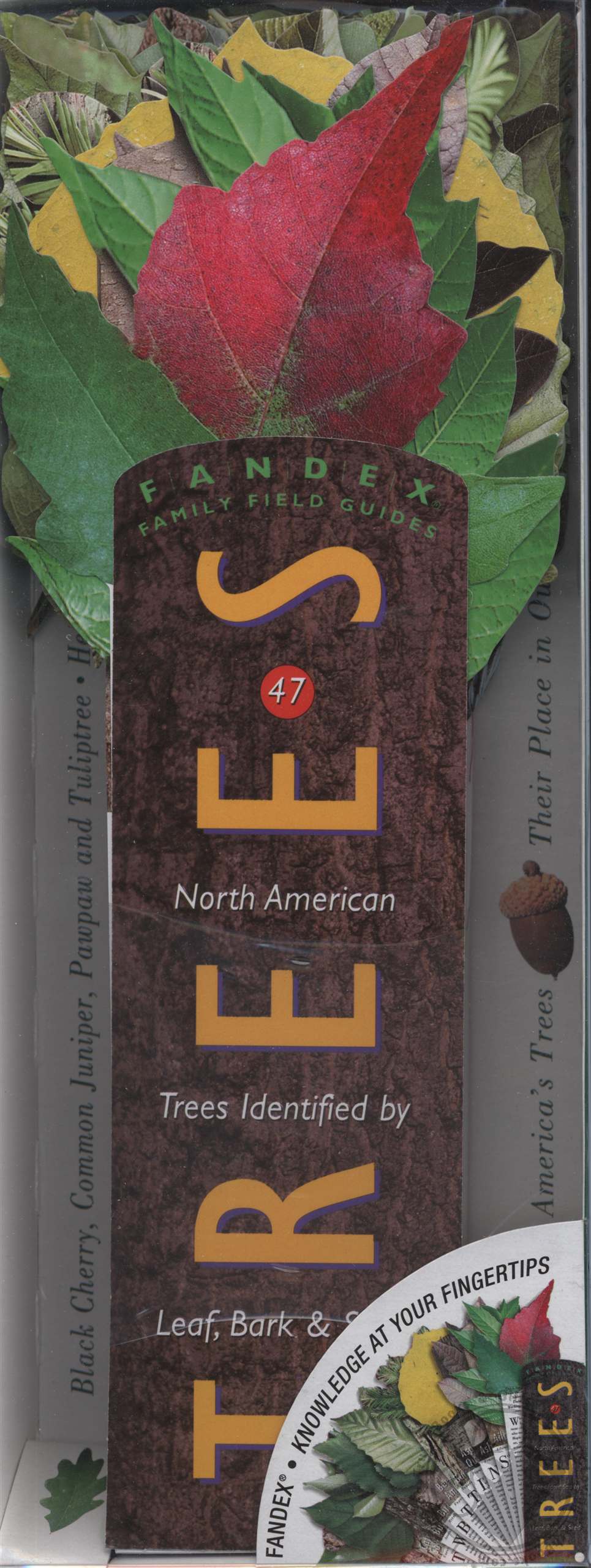 Fandex Family Field Guides: Trees by Steven Aronson (Book / Paperback ...