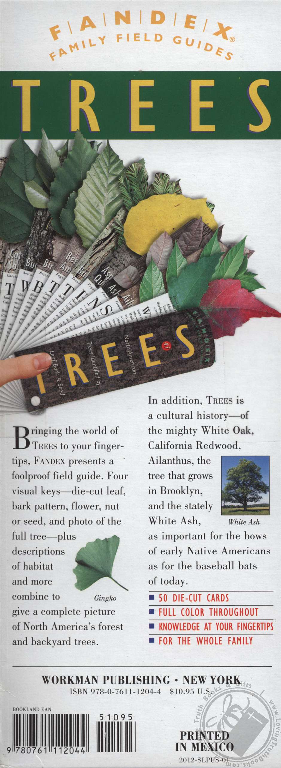 Fandex Family Field Guides: Trees by Steven Aronson (Book / Paperback ...