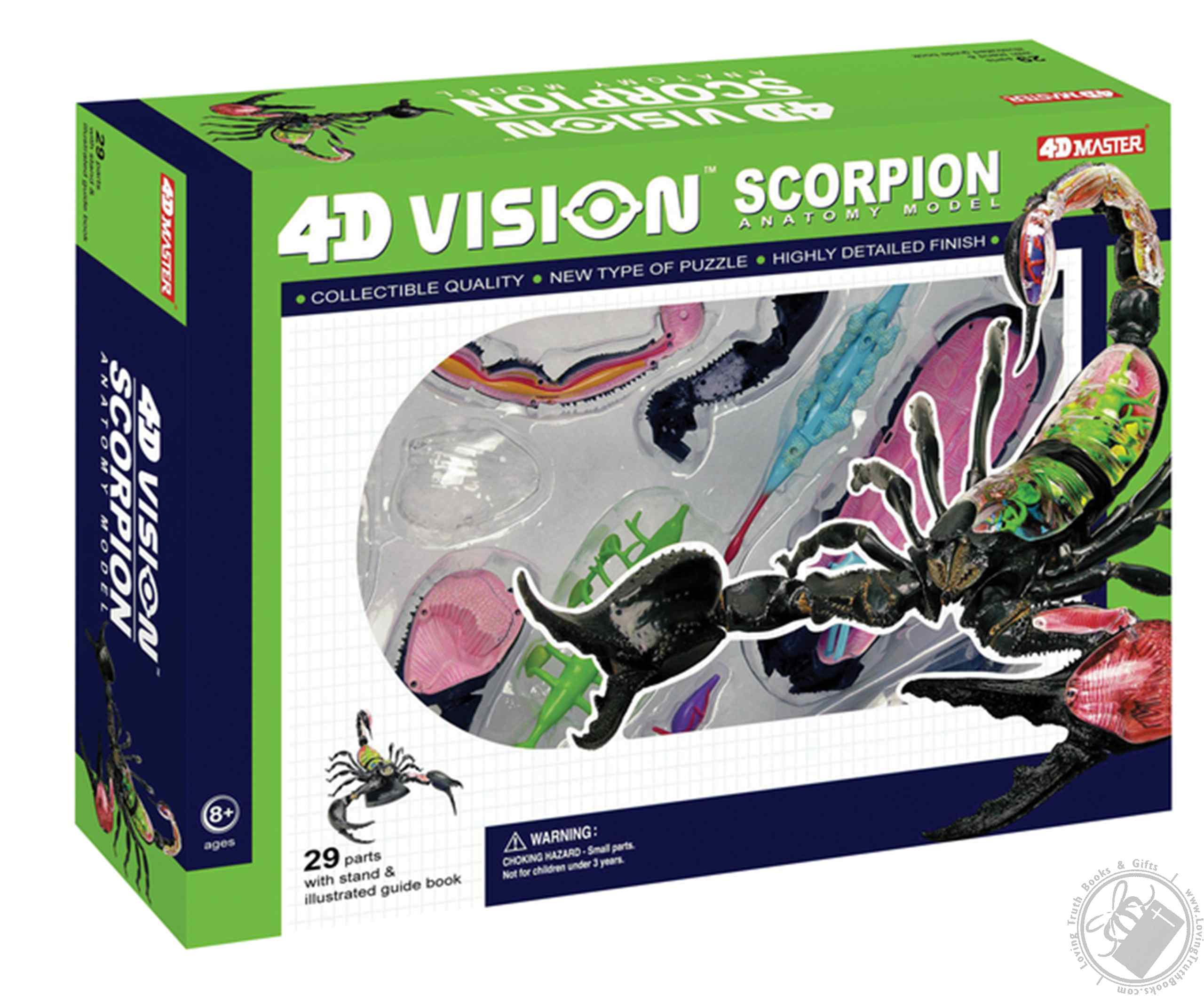 4D Vision Scorpion Anatomy Model (29 Pieces for Ages 8 and Up) (Biology ...