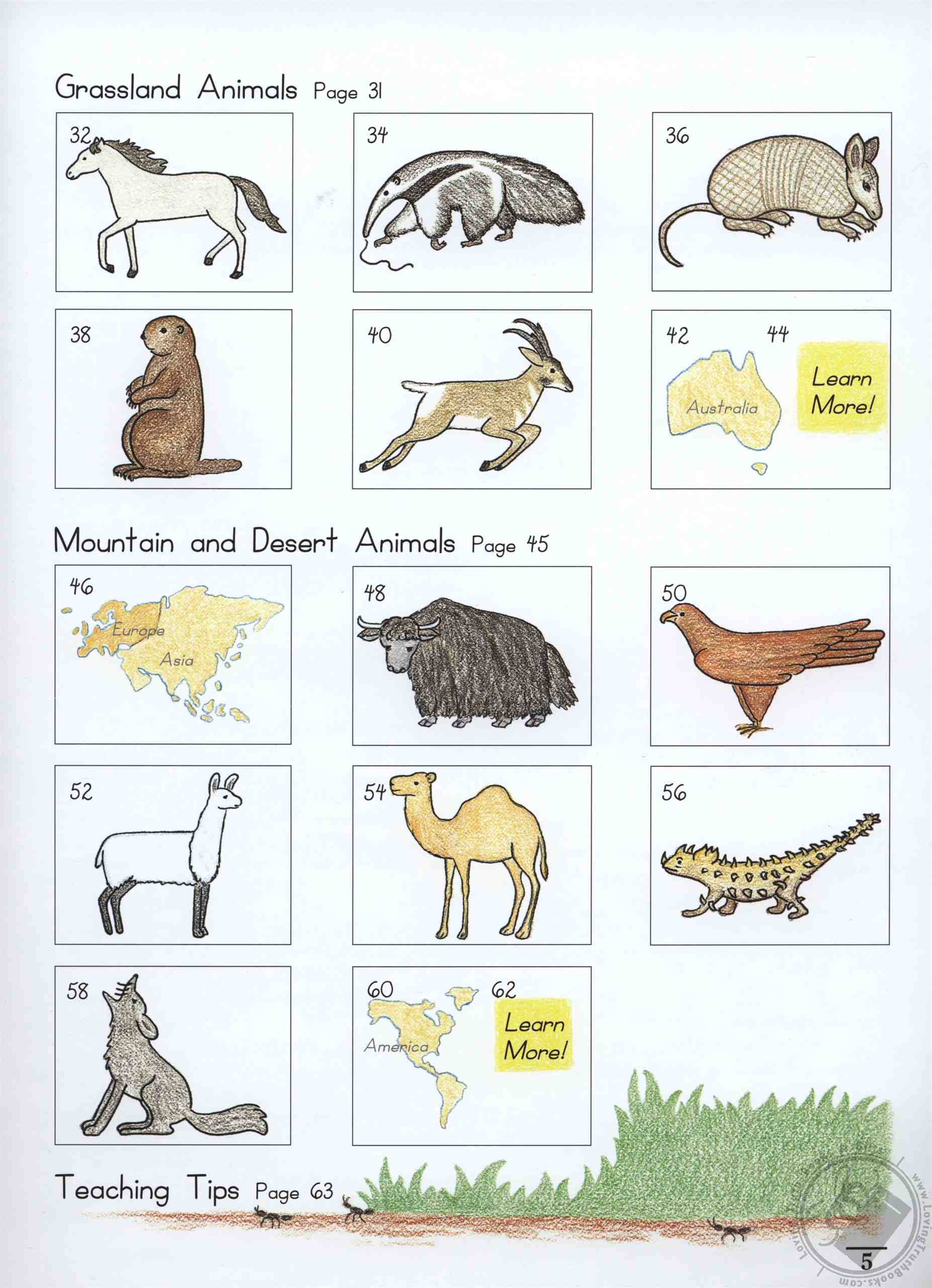 Draw Write Now, Book 8: Animals of the World, Dry Land Animals by Marie ...