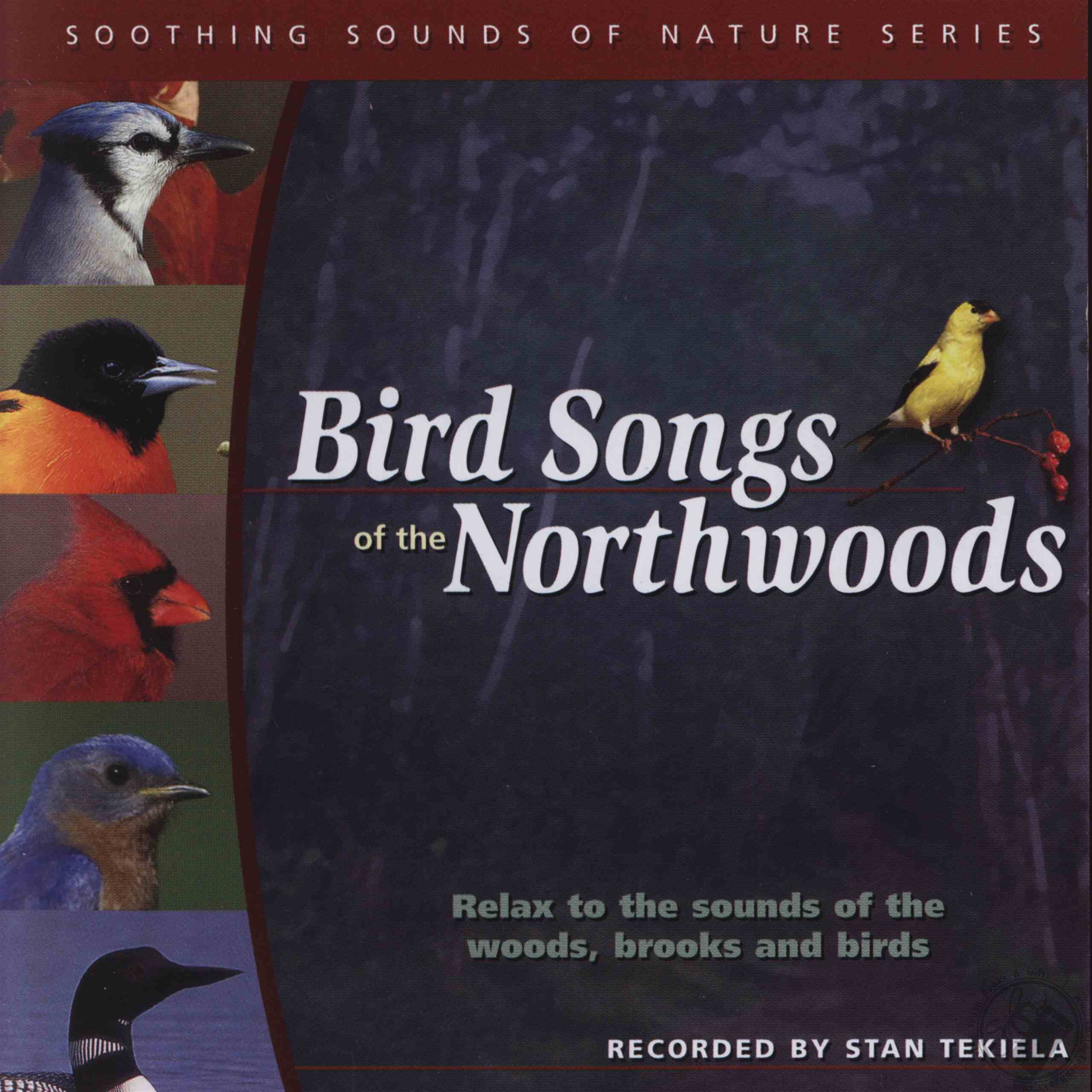 Bird Songs of the Northwoods: Soothing Sounds of Nature Series by Stan ...